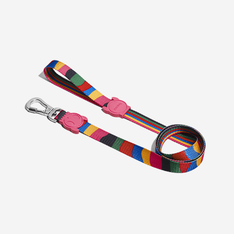 Guia Chroma G - Taiken